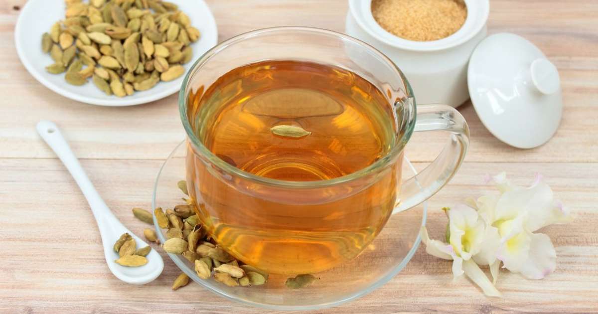 Cardamomo: Qué Es, Para Qué Sirve, Propiedades Y Beneficios – TGVS