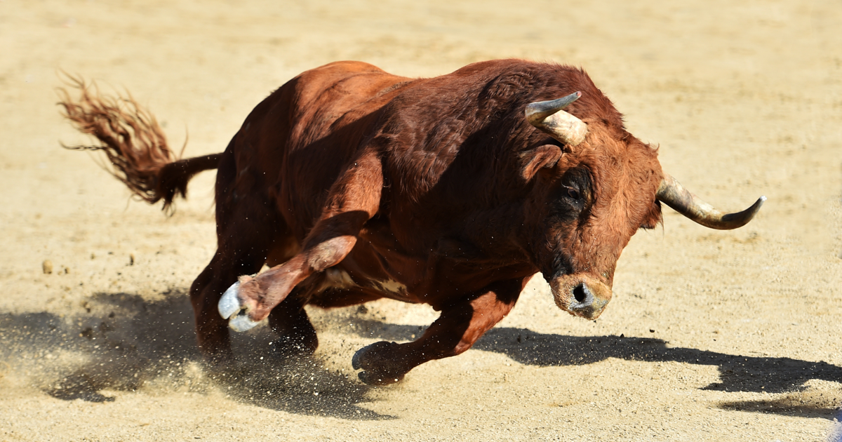 ¿Qué significa soñar con toros?