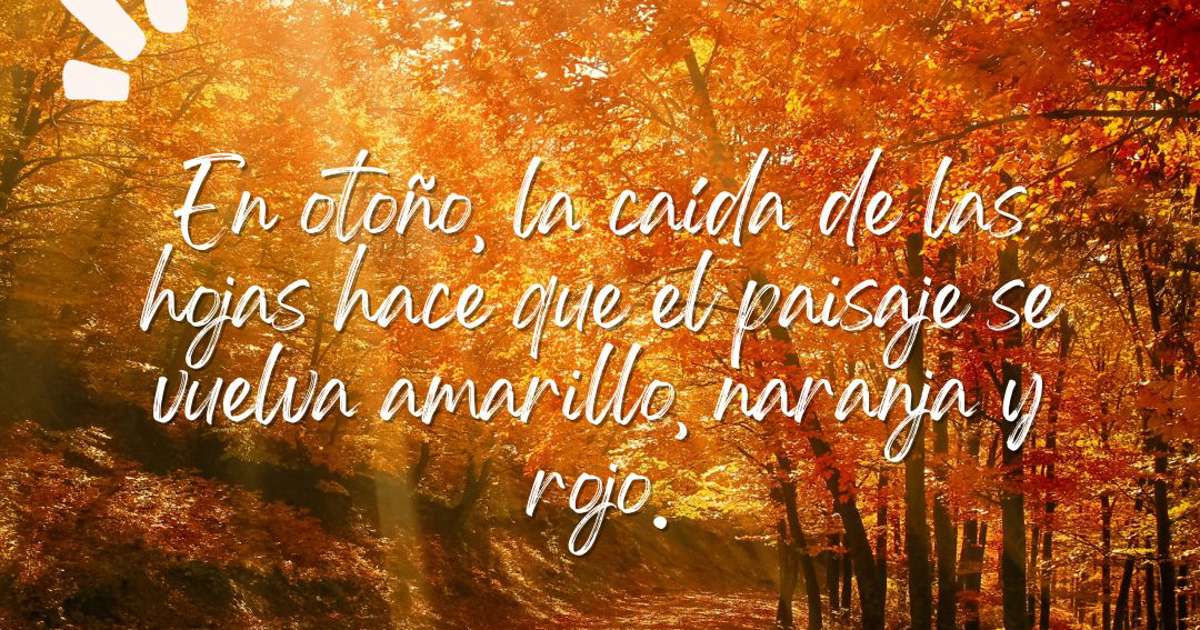 25 frases de otoño bonitas para empezar la estación más acogedora