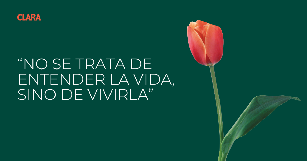 100 frases cortas de la vida muy bonitas que no son las típicas y hacen reflexionar