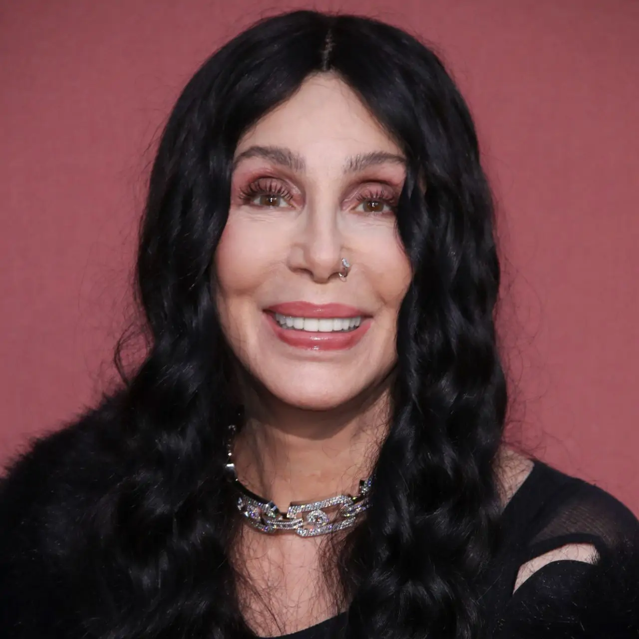 Cher, actriz y cantante (79 años): “Dejarse las canas está bien para ...