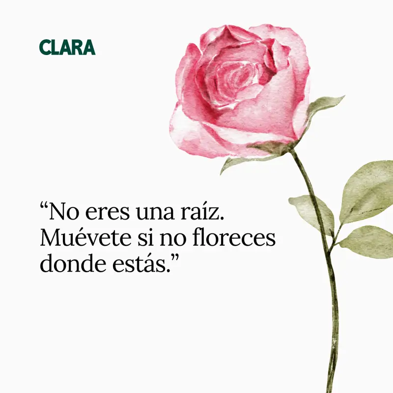 25 frases que invitan al cambio en tu vida y que son inspiradoras