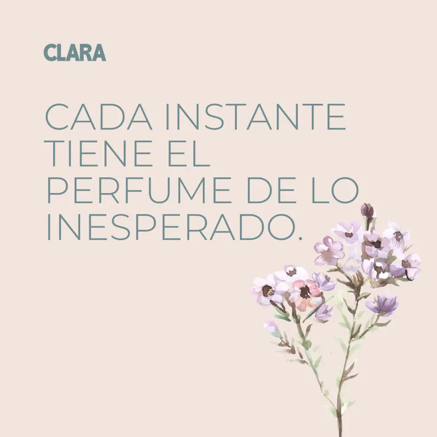 Frases